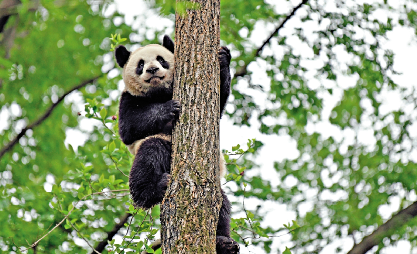 市井萬象/春日遊園 - 大公報