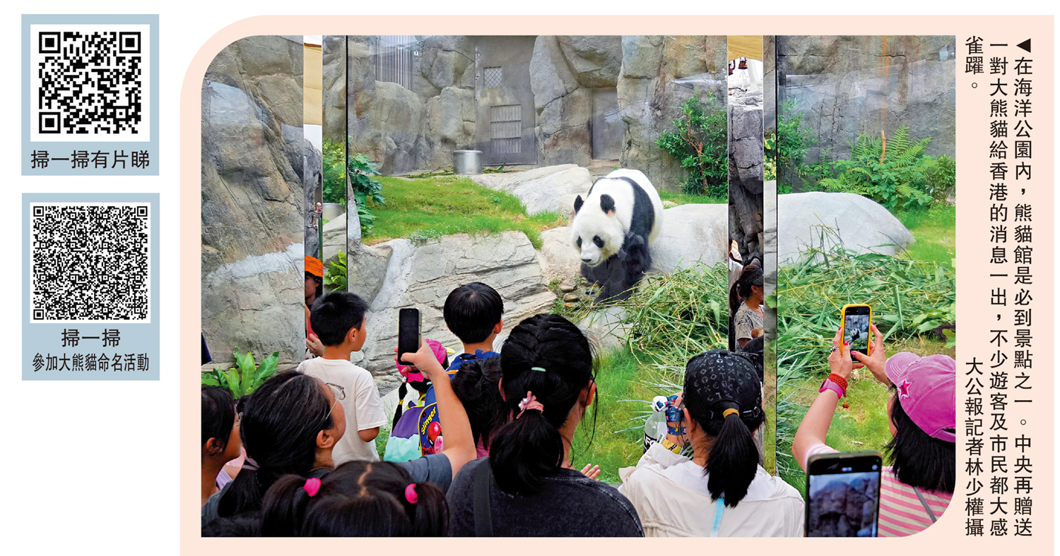 慶祝回歸27周年/港迎新一對大熊貓 掀命名熱潮 - 大公報