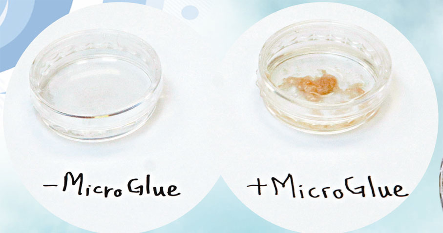 【煞「廢」苦心之捕膠捉塑】巧用微生物 收塑防污染 - 香港文匯報