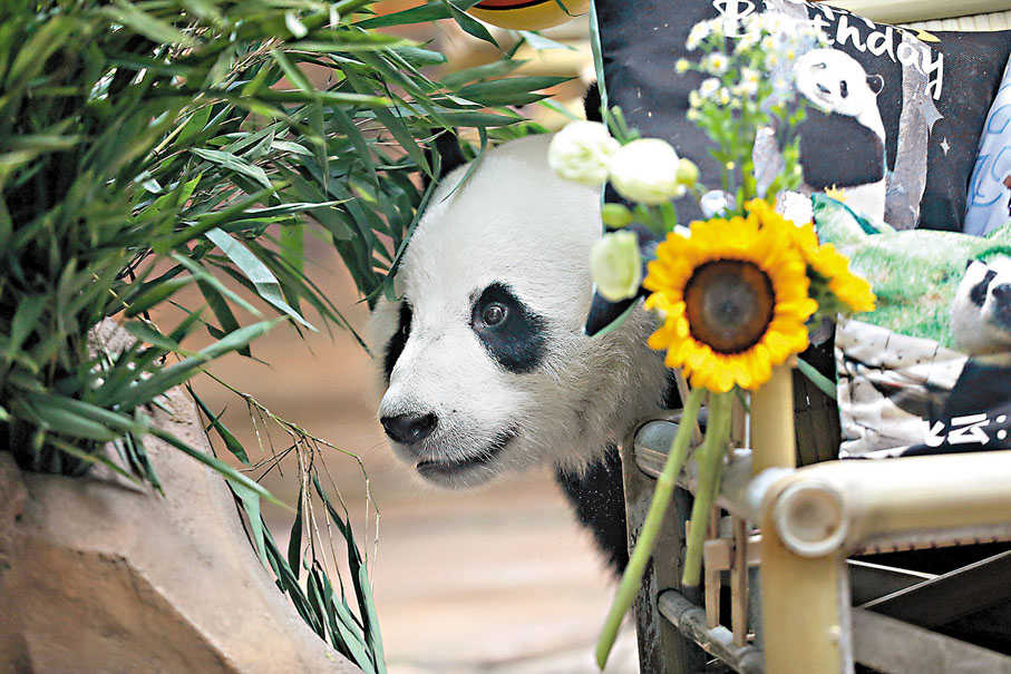 【中國脈搏】雅安「魚與熊掌兼得」 特產帶動經濟發展 The “home of panda” becomes the second ...